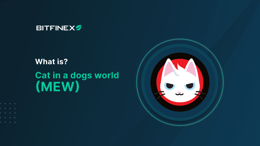 What is cat in a dog’s world (MEW)?